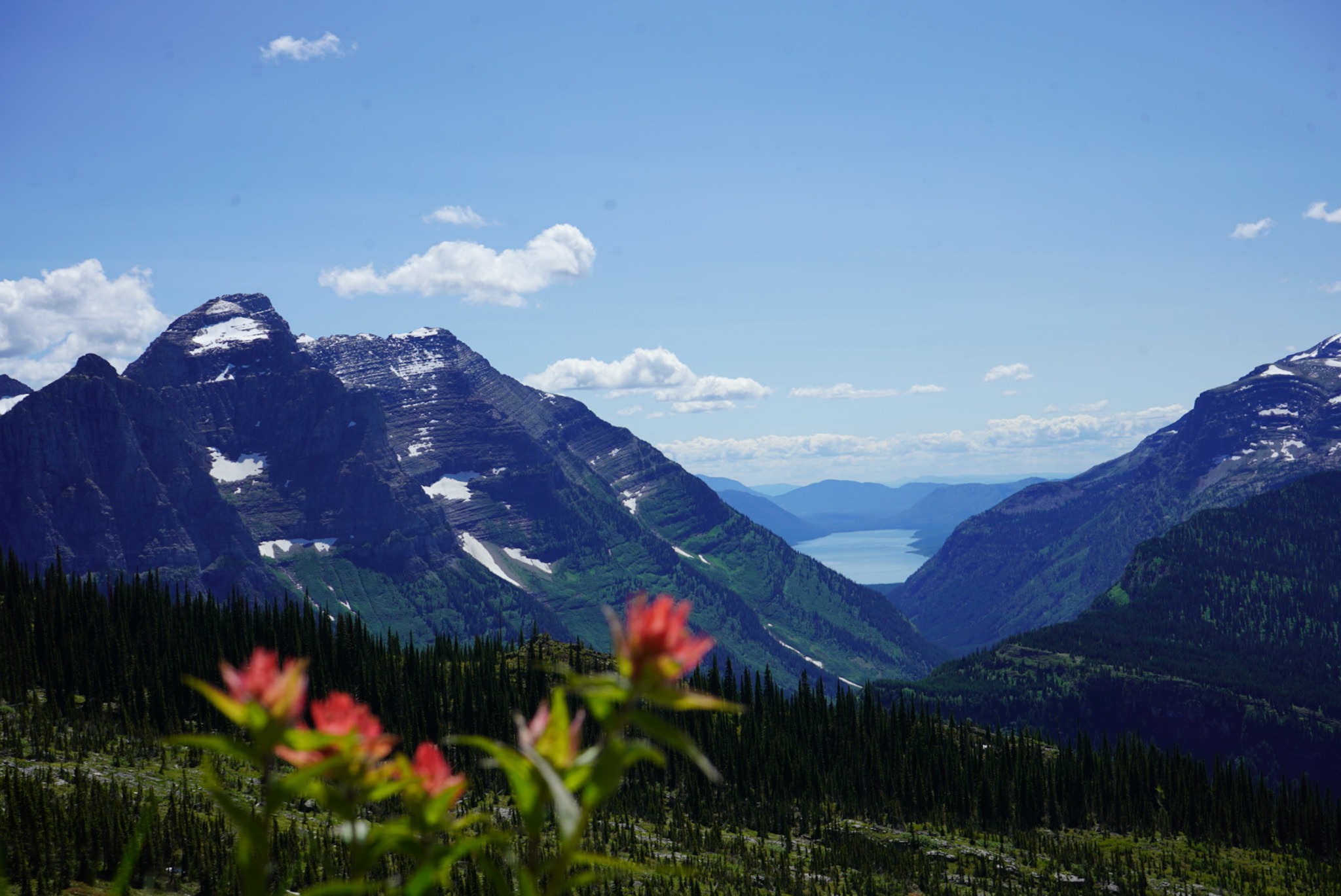 Travel Guide: Whitefish, Montana